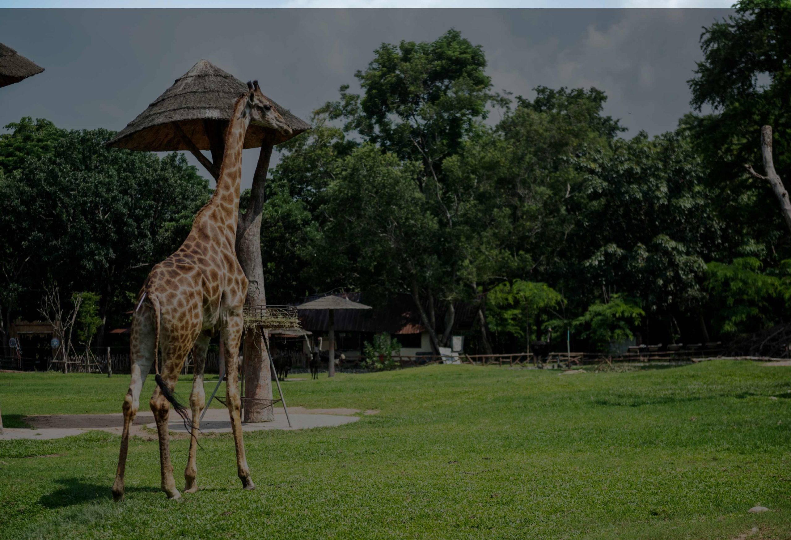 Home - Intensive Training Institute